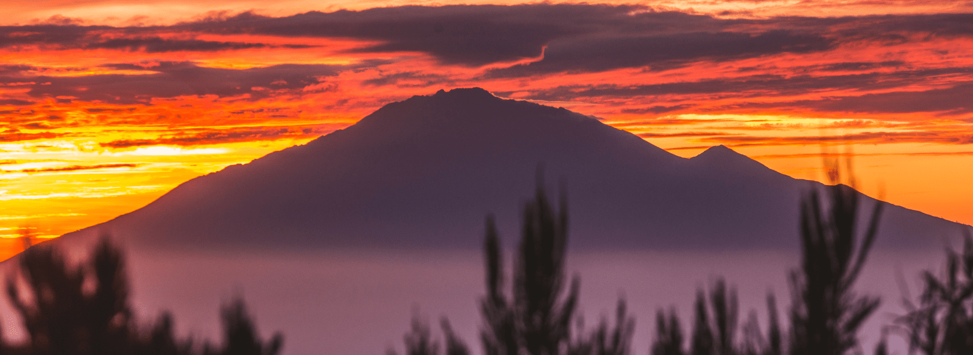 B Leader Training Booking Form - Earth's Edge